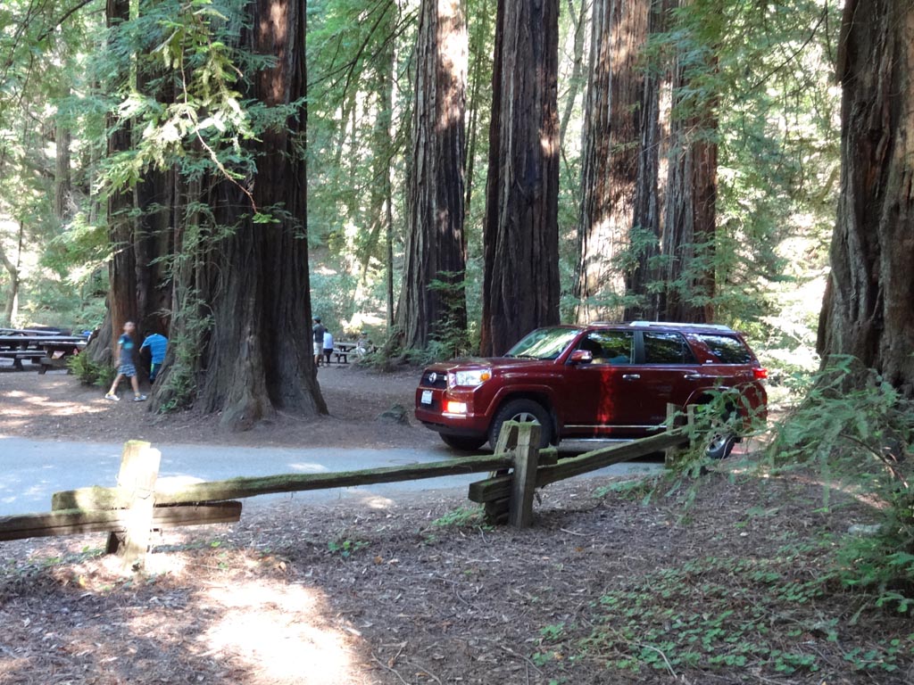 What did you do to/in your 5th Gen today?! - Page 1156 - Toyota 4Runner ...